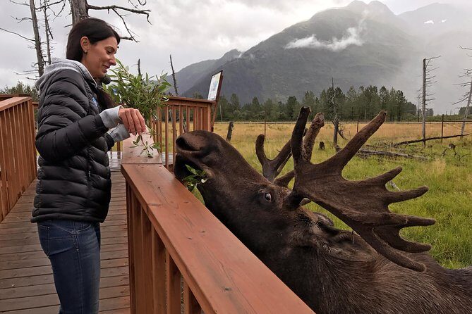 Glaciers and Wildlife: Super Scenic Day Tour from Anchorage - Practical Details & Logistics