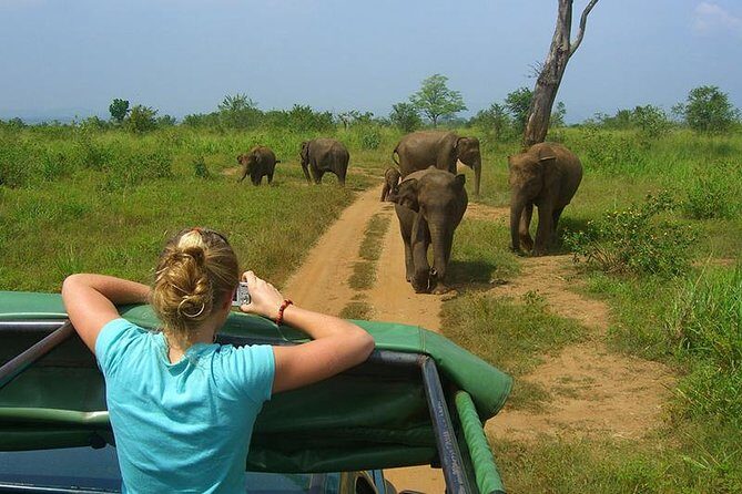 Glamourous Sri Lanka 7 Days Tour - FAQ