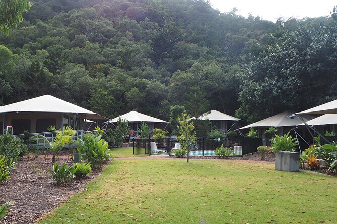 Glamping Resort on Magnetic Island - Authentic Insights from Visitor Reviews