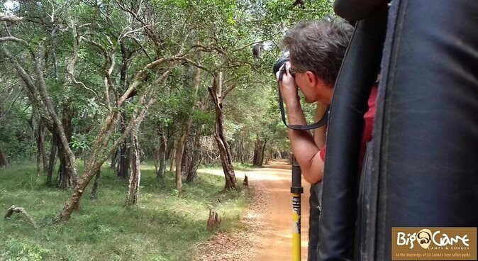 Glamping & Safari - Wilpattu National Park - Key Points