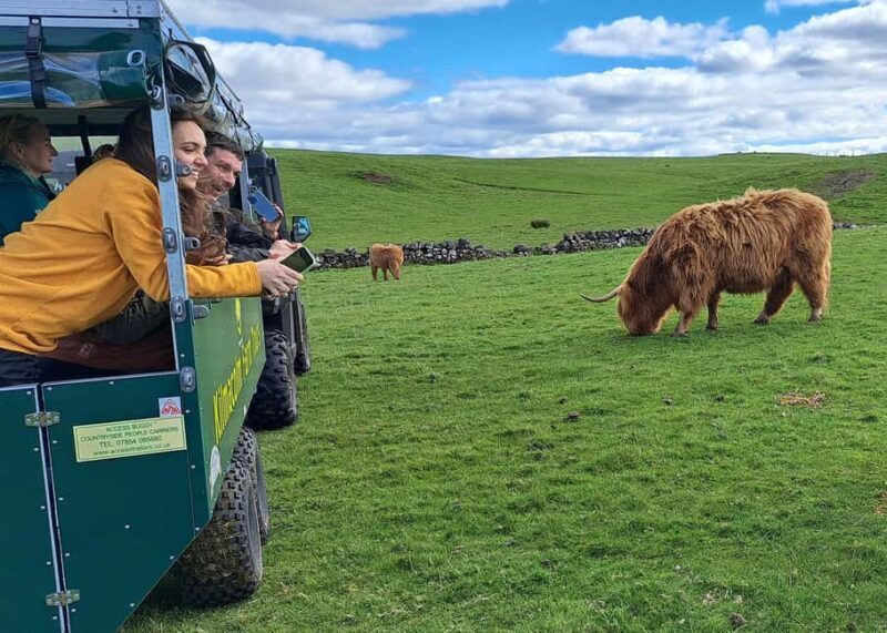 Glasgow: Highland Cow Trailer Tour with home baking - Practical Details and Value