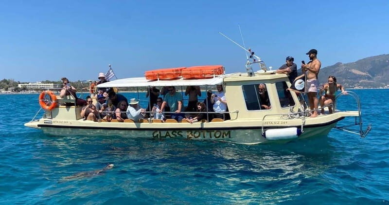 Glass boat cruises to spot turtles - Authentic Encounters and Real Traveler Insights