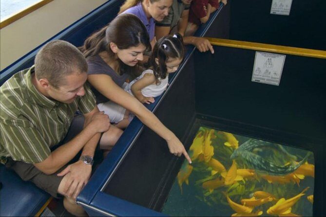 Glass Bottom Boat: Catalina Island Tour - Exploring the Glass Bottom Boat: Catalina Island Tour