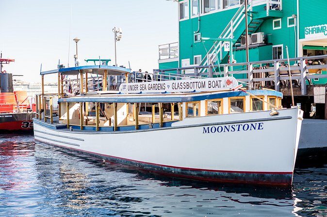 Glass Bottom Boat: Catalina Island Tour - The Bottom Line