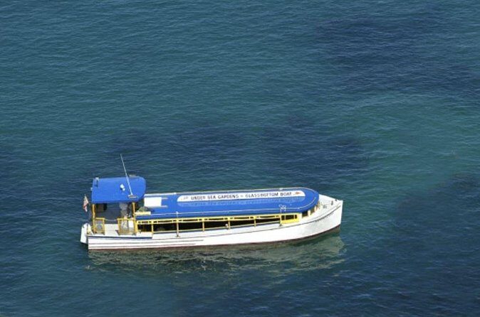 Glass Bottom Boat: Catalina Island Tour - FAQ: Your Practical Questions Answered