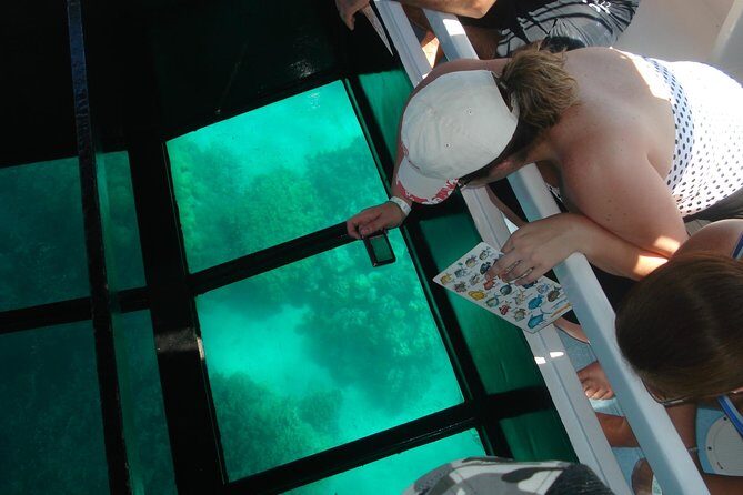 Glass-Bottom Boat Cruise from Waikoloa - An In-Depth Look at the Experience