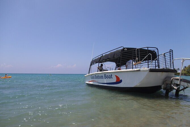 Glass-Bottom Boat Cruise from Waikoloa - Additional Details on Practicalities