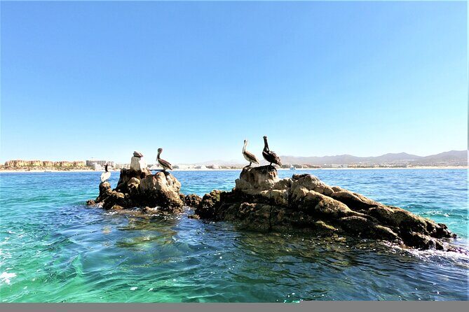Glass Bottom Boat in Cabo San Lucas, free time in Playa del Amor - Exploring the Landmarks