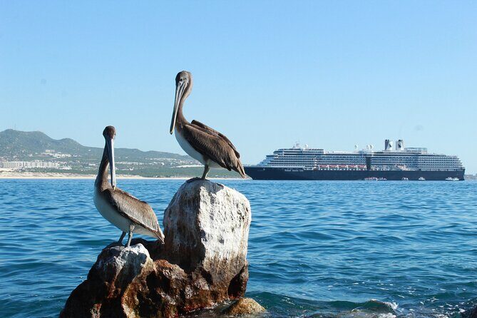 Glass Bottom Boat in Cabo San Lucas, free time in Playa del Amor - Authentic Reviews from Travelers