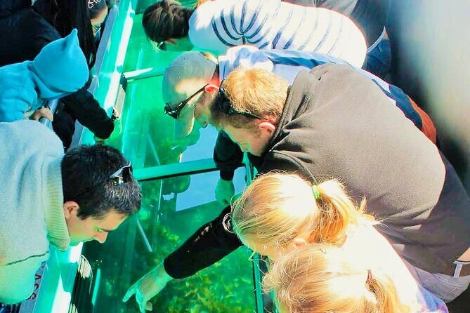 Glass Bottom Boat public & private in Punta Cana - What to Expect on the Tour: A Step-by-Step Breakdown