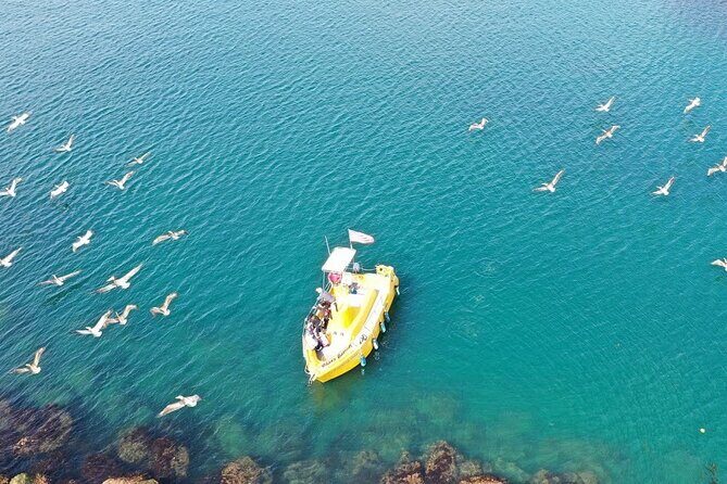 Glass Bottom Boat Ride in Redondo Beach - A Detailed Look at the Redondo Beach Glass Bottom Boat Tour