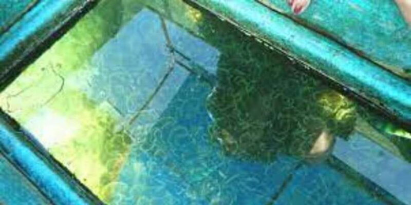 Glass Bottom Boat Ride in Trincomalee - Practical Details & Considerations