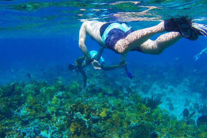 Glass Bottom Boat Ride/Snorkeling/Booby Cay Island from Grand Palladium Lucea - An In-Depth Look at the Experience