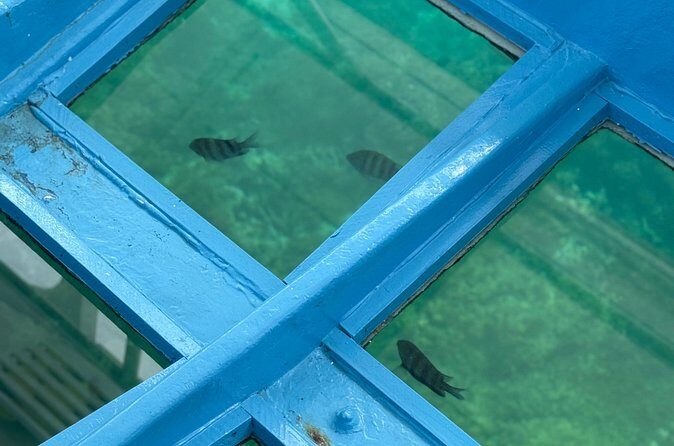 Glass bottom Boat Tour and Snorkeling Experience in Montego Bay - The Sum Up: Who Should Book This Tour?