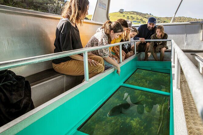 Glass Bottom Boat Tour - An Honest Look at the Glass Bottom Boat Experience