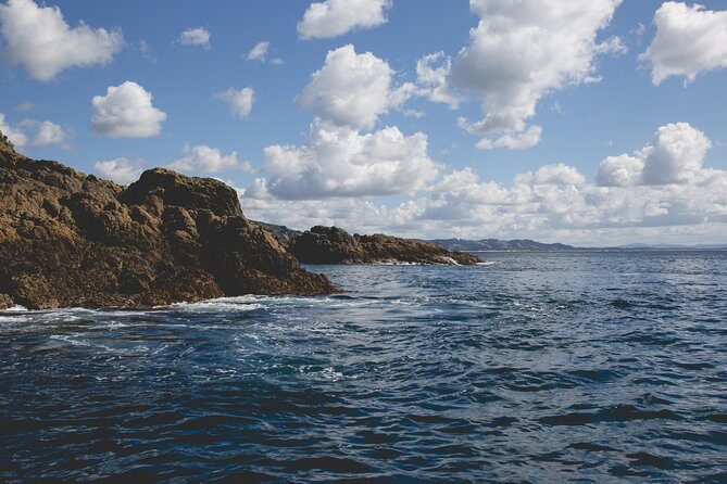 Glass Bottom Boat Tour - The Sum Up: Is It Worth Your Time?