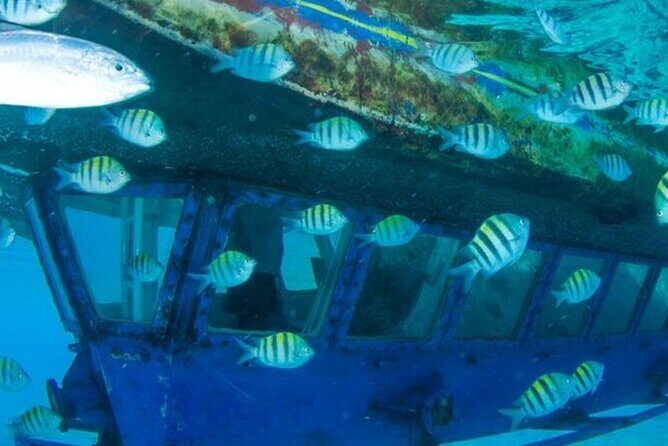 Glass Bottom Boat Water Activity in Montego Bay Jamaica - The Sum Up: Is This Experience Worth It?