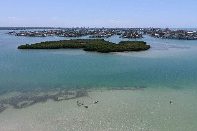 Glass Bottom Kayak Mangrove & Sandbar Adventure in St. Pete Beach - The Realities of Self-Guided Kayaking