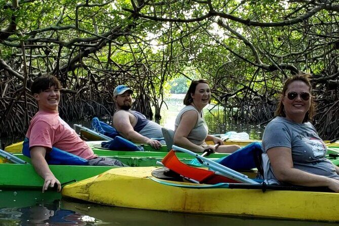 Glass Bottom Kayak Mangrove & Sandbar Adventure in St. Pete Beach - Real Feedback from Participants