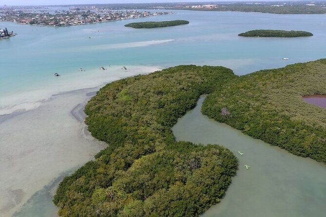 Glass Bottom Kayak Mangrove & Sandbar Adventure in St. Pete Beach - The Bottom Line: Who Is This Tour For?