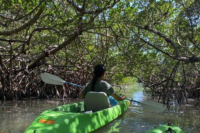 Glass Bottom Kayak Mangrove & Sandbar Adventure in St. Pete Beach - The Sum Up