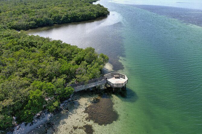 Glass Bottom Kayak Mangrove Tunnel & Sandbar Adventure Sarasota - A Deep Dive into the Experience