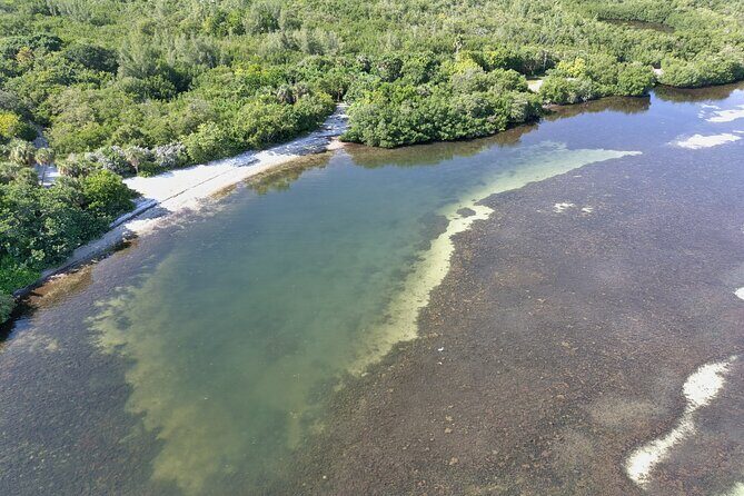 Glass Bottom Kayak Mangrove Tunnel & Sandbar Adventure Sarasota - The Sum Up