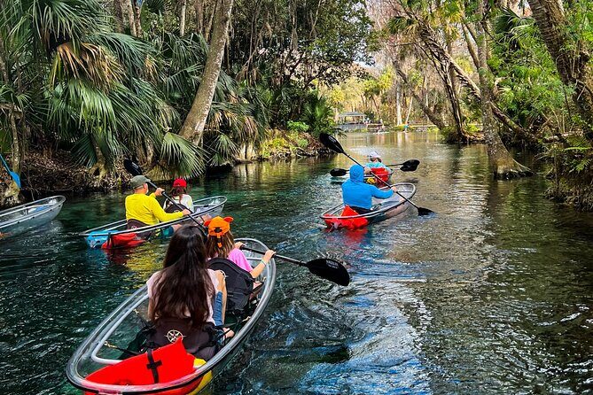 Glass Bottom Kayak Tours of Silver Springs - Authentic Experiences and Genuine Value