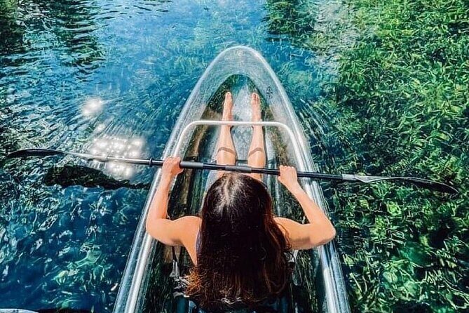 Glass Bottom Kayak Tours of Silver Springs - Who Will Love This Tour?