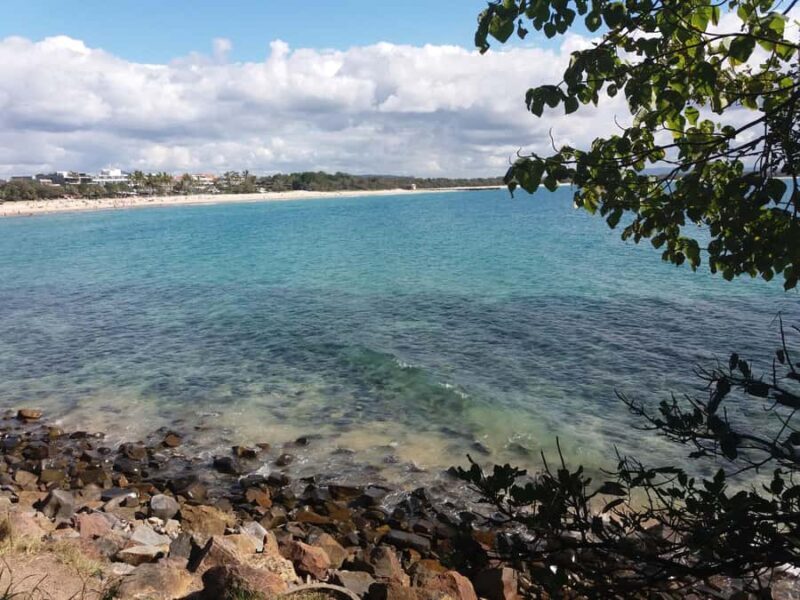 Glass House Mountains: Big Pineapple & Caloundra Markets - Key Points