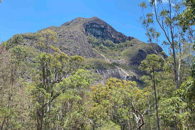 Glass House Mountains Tour with Lunch, Lookouts, and Nature Walks - Final Thoughts