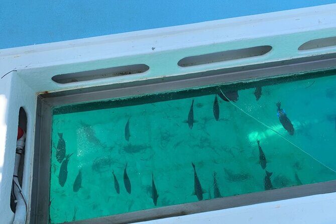 GlassBottom Catamaran with Slide - Who Should Consider This Tour?