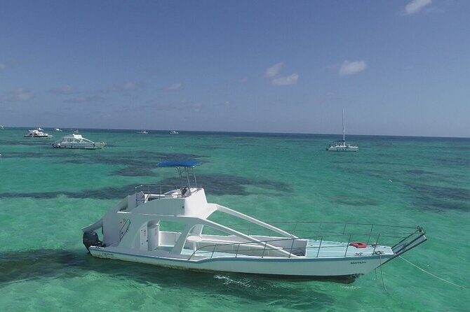 GlassBottom Catamaran with Slide - The Sum Up