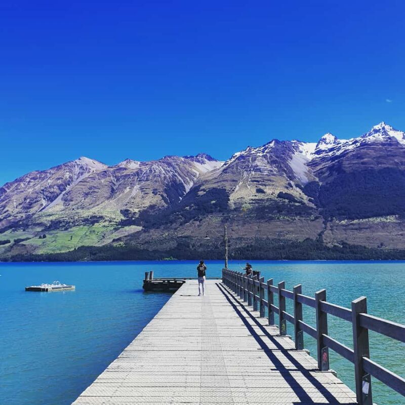 Glenorchy Kiwi Special Tour, from Queenstown - An In-Depth Look at the Glenorchy Kiwi Special Tour