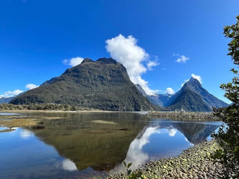 Glenorchy | Milford Sound Helicopter Tour & Scenic Cruise - Who Will Love This Tour?