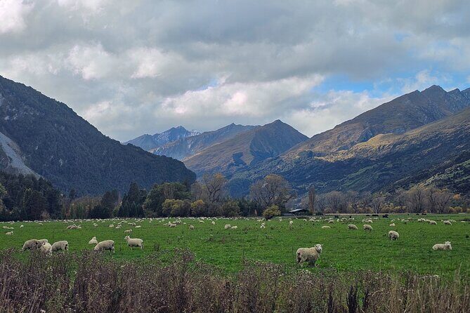 Glenorchy Private Day Trip from Queenstown: TravelnGo - Who Will Enjoy This Tour?