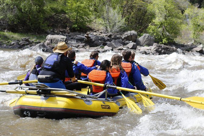 Glenwood Springs Half-Day Rafting Trip - Who Will Love This Trip?