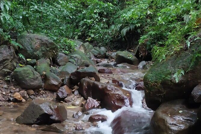 Glide into adventure: Hiking and natural slides - Key Points