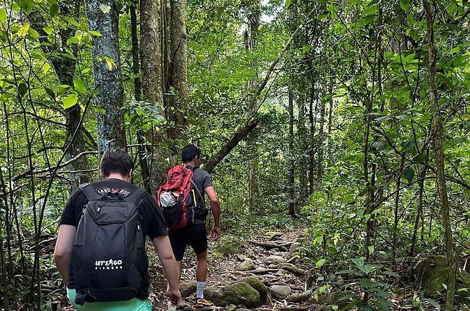 Glide into adventure: Hiking and natural slides - Final Thoughts: Who’s This Tour Perfect For?