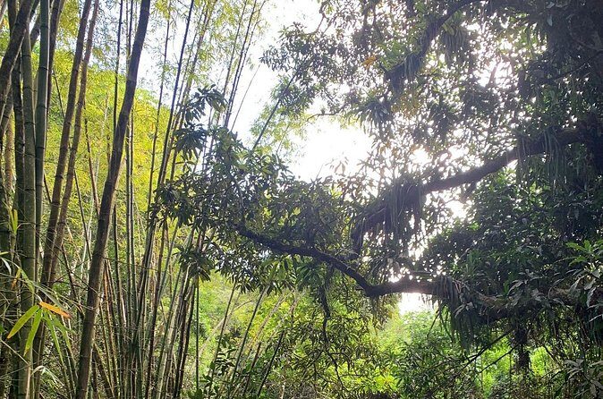 Glide into adventure: Hiking and natural slides - Frequently Asked Questions