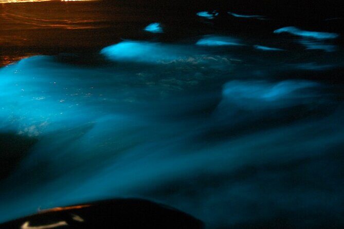 Glistening Waters Luminous Lagoon Boat Tour in Falmouth Jamaica - How Does It Compare in Value?