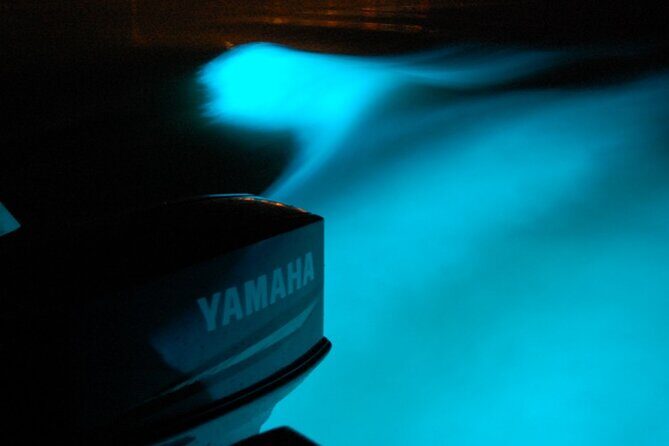 Glistening Waters Luminous Lagoon Boat Tour in Falmouth Jamaica - Practical Tips for Visiting