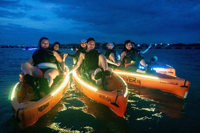 Glow Kayak Night Adventure in the Mangroves - Key Points