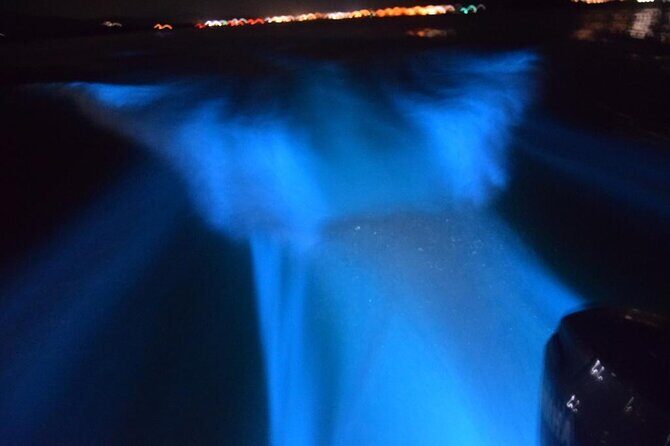 Glow with the Flow: A Romantic Night at the Luminous Lagoon) - An In-Depth Look at the Tour Experience