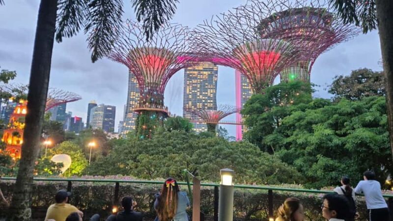 Glow with the Flow: Singapore's Illuminated River Experience - Practical Tips