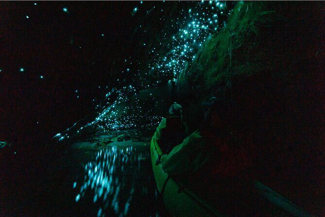 Glow Worm Adventure Kayak - The Sum Up: Who Should Consider This Tour?