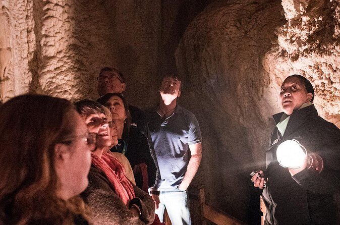 Glow Worm Caves Express Tour in Bay of Islands - In-Depth Look at the Experience