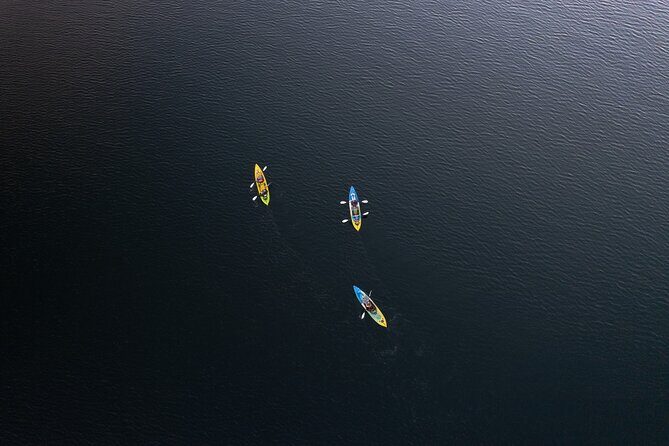 Glow Worm Kayak Tour - Analyzing the Value: Is It Worth It?