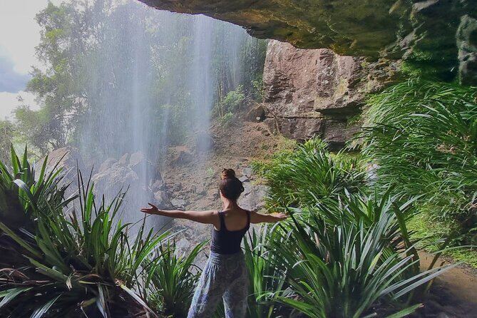 Glow Worms + Day/Night Rainforest & Waterfalls Experience - Starting Point and Logistics