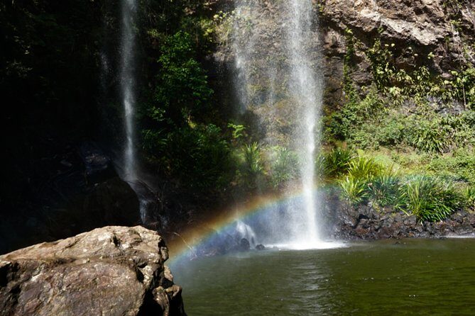 Glow Worms + Day/Night Rainforest & Waterfalls Experience - The Value of the Tour